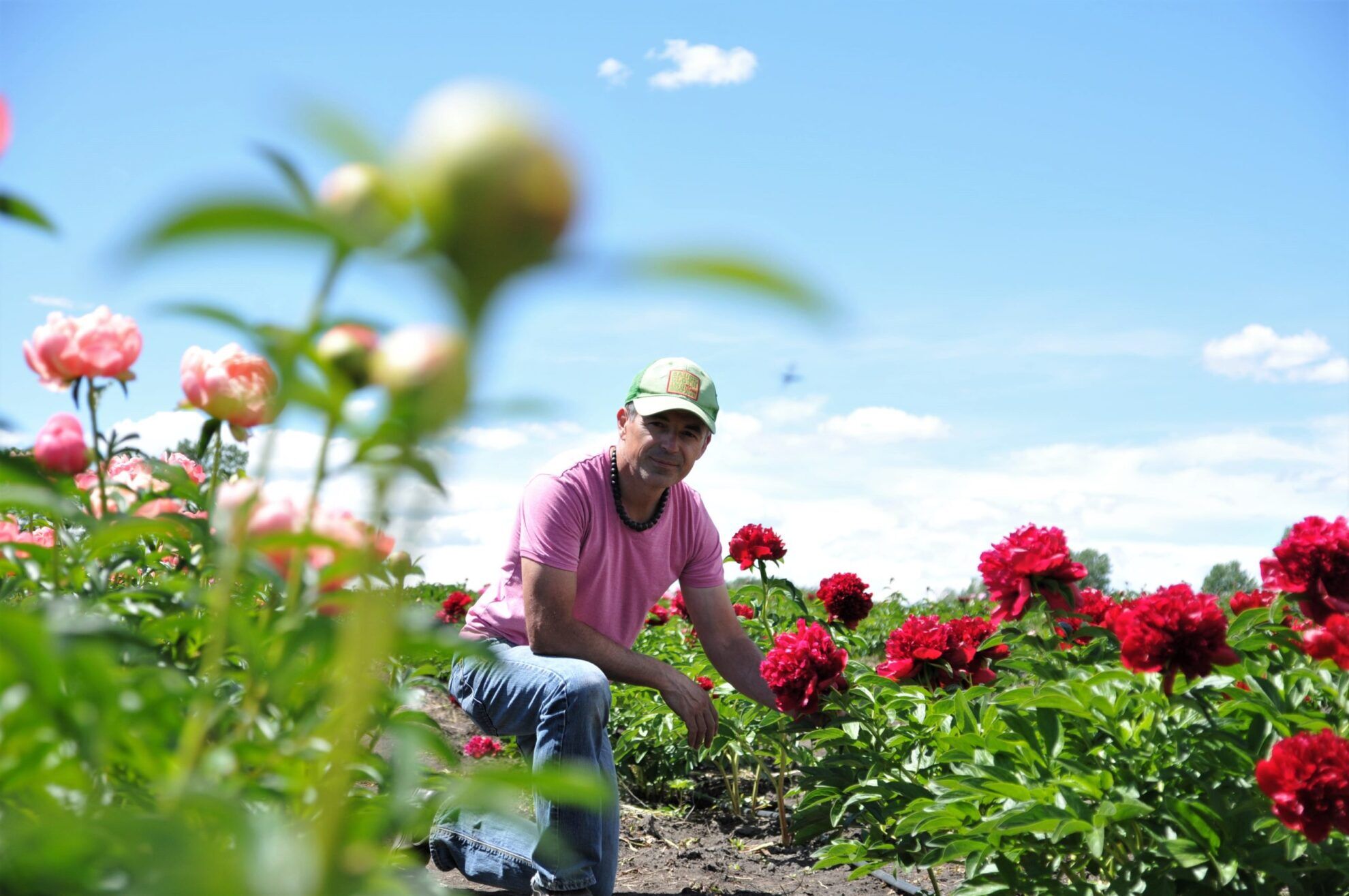 Parkland Peonies – Peony Cut Flowers, Peony Roots and Martagon Lilies ...